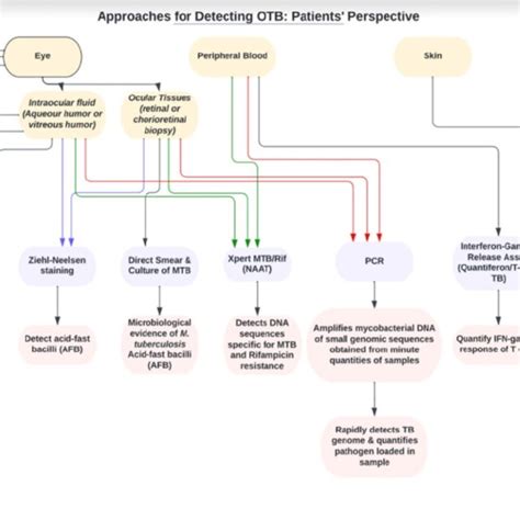 Flow Chart Showing The Clinical Approaches And Diagnostic Tools For Download Scientific Diagram