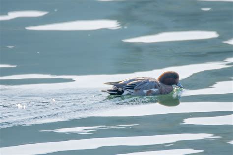Ik T Flickr