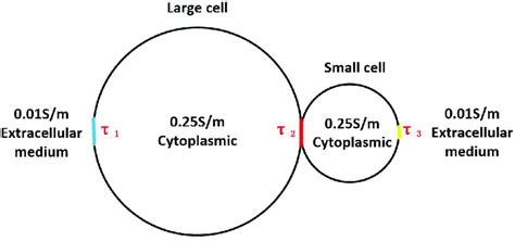 Calculation Model Of Charge Time Constant Download Scientific Diagram