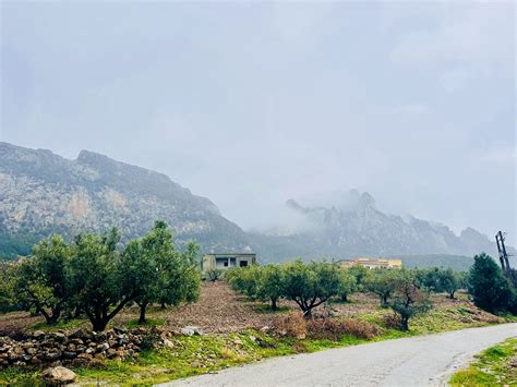 Expéditions Jebel Rsass Treknsea