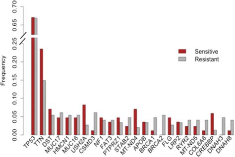 Somatic Mutation Frequencies For Resistant And Sensitive Tcga Ovarian Download Scientific