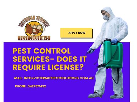 Termite Control In Melbourne For Termite Infestation By