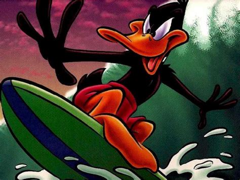 Daffy Duck Wallpaper And Background Image 1440x1080 ID 468916