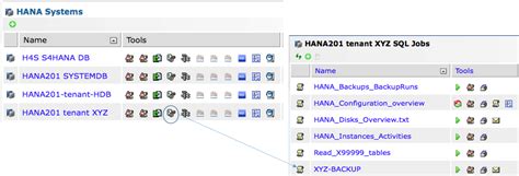 Sap Basis Automation Of Hana Backup And Cleanup