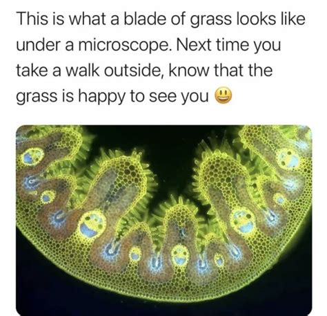 If Youre Not Spending Time Outdoors In Nature Barefoot When Possible