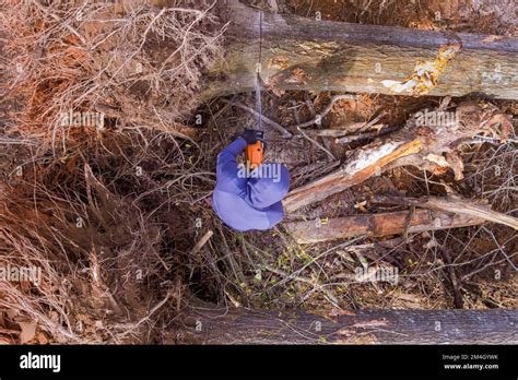 Professional Man Cutting Down Tree Trunk With Chainsaw After Hurricane With Help Of Chainsaw