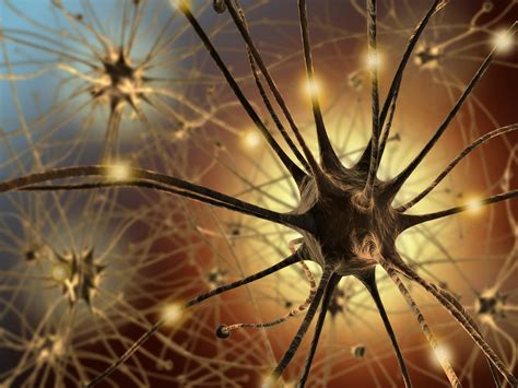 Neurons Wallpapers Top Free Neurons Backgrounds Wallpaperaccess
