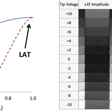 The Effect Of Electrostatic Force On The Cantilever Depends On Download Scientific Diagram
