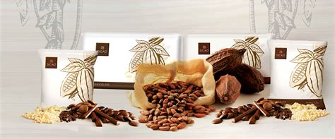 Brand Repositioning for Sicao by Specialist Agency - Brand360 Malaysia