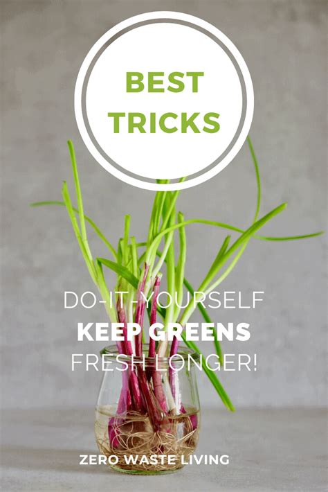 Amazing Food Storage And Fridge Hacks To Reduce Waste Alphafoodie
