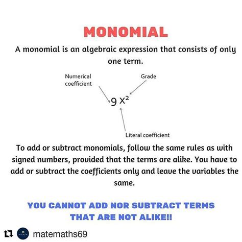 Mathematics Explore The World Of Algebra And Monomials