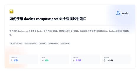 Docker Compose Port 命令使用指南 快速查找映射端口 Labex