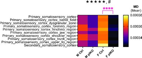 Diffusion Tensor Imaging Dti Analysis In The Somatosensory Cortex Of