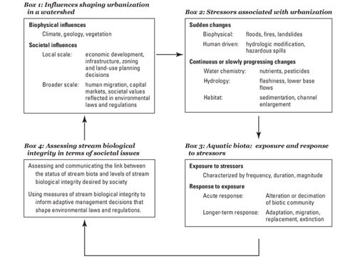 Conceptual Framework For Studying The Effects Of Urbanization On Stream