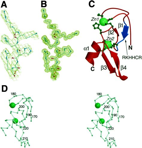 Phosphatidylinositol Structure