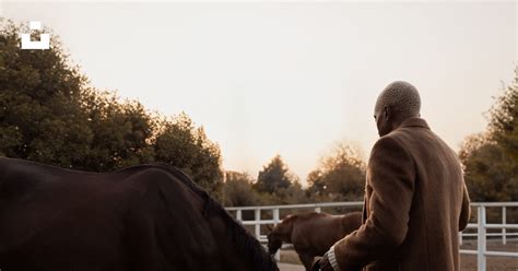 무성한 녹색 들판에 갈색 말 옆에 서 있는 남자 사진 Unsplash의 무료 사진술 이미지