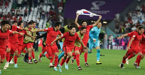 알라이얀의 기적 쓴 태극전사···이번엔 삼바군단 넘는다