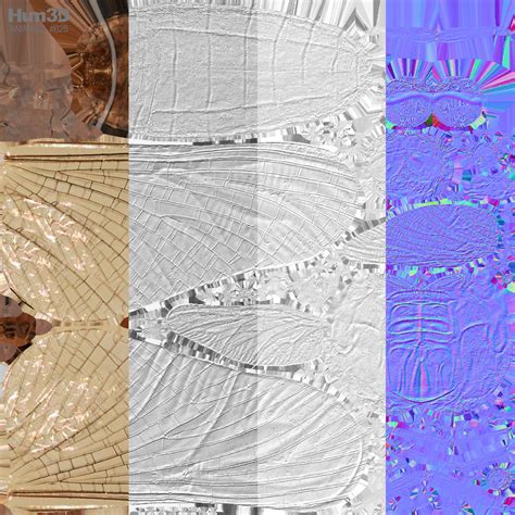 Mayfly 3d Model Download Insects On