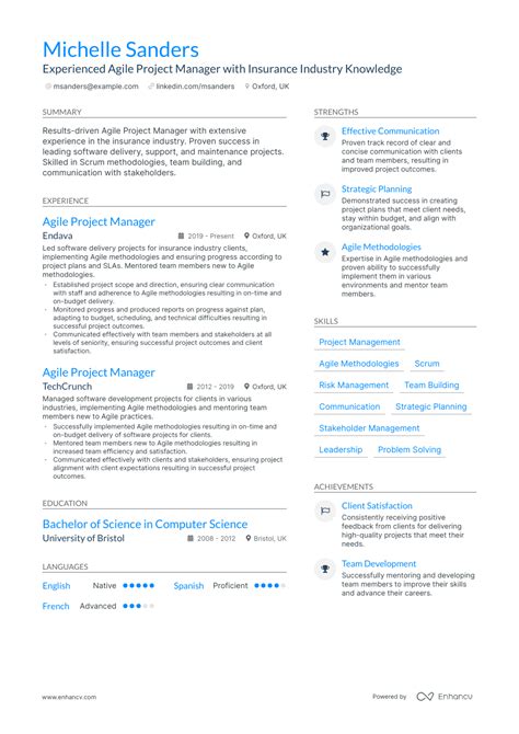 How To Choose The Best Cv Style Examples And Tips For 2023 Enhancv