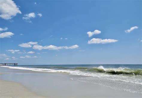 Untitled Dianna Flickr