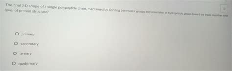 Solved The Final 3 D Shape Of A Single Polypeptide Chain Maintained