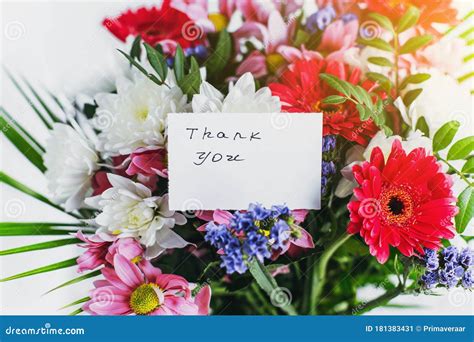 Thank You Beautiful Flowers In Pot With Message Card Stock Image 63848065