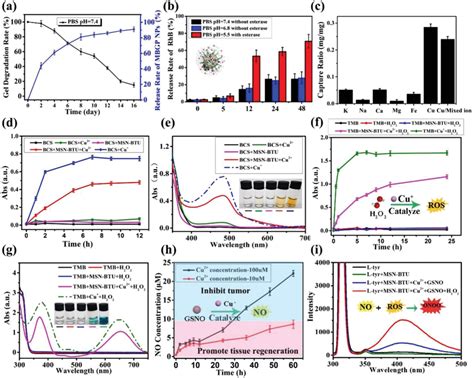 A Gel Degradation Curve And The Release Curve Of Mbgp Nps In Pbs Ph