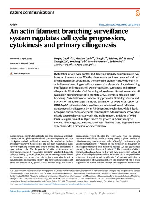 Pdf An Actin Filament Branching Surveillance System Regulates Cell