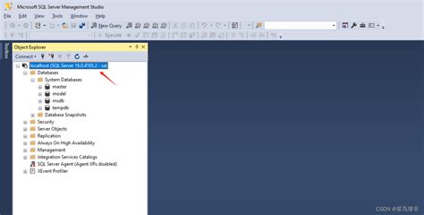 Windows Docker Sql Server