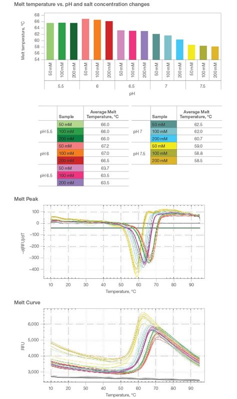 Protein Thermal Shift Assays Made Easy Bioradiations