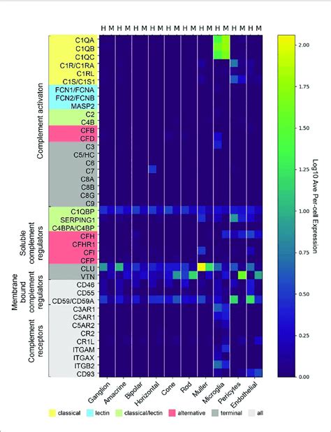 Comparison Of Cell Type Specific Complement Expression Between Download Scientific Diagram