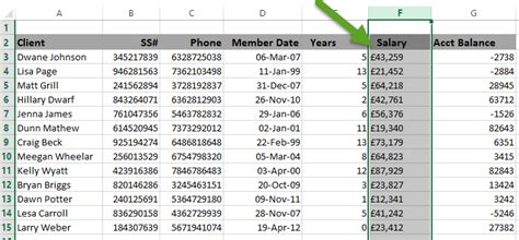 Understand Numeric And Special Formatting In Excel 2013 Va Pro Magazine