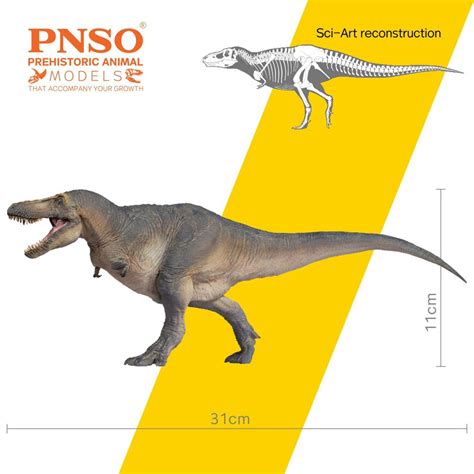 Pnso Chuanzi The Tarbosaurus Dinosaur Model Everything Dinosaur