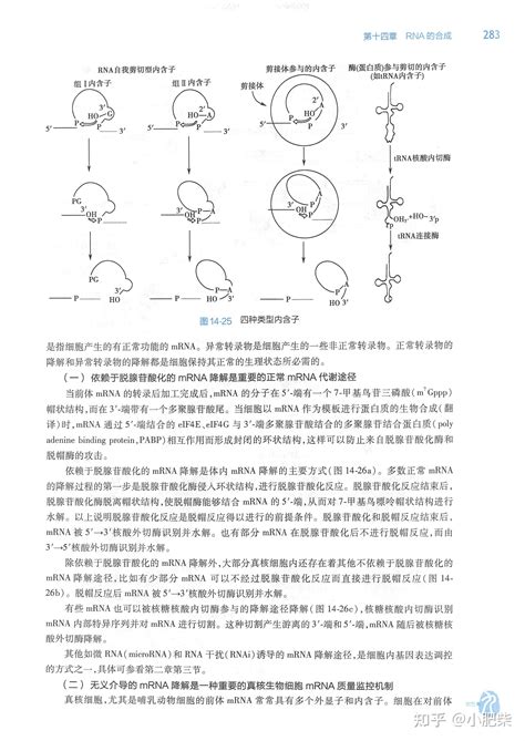 生化课本带读 第十四章 Rna合成（转录） 知乎