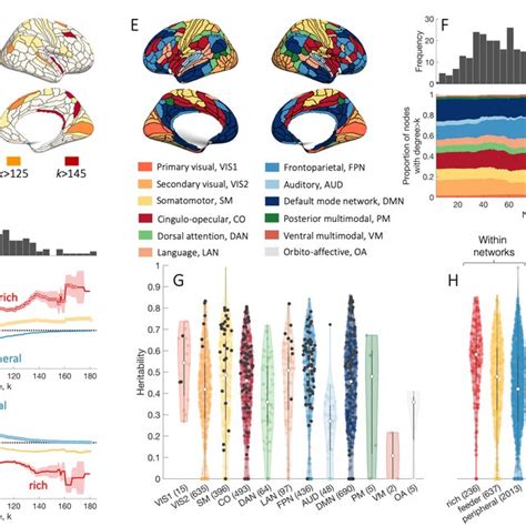 Workflows Used To Characterize Genetic Influences On Hub Connectivity