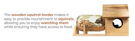 Zilko Wood Squirrel Feeders For Outside Large Backyard