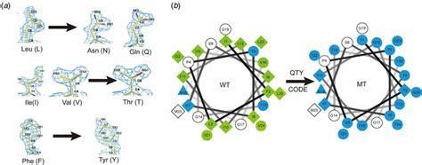 The Qty Code And How It Replaces L V I And F With Q T And Y A