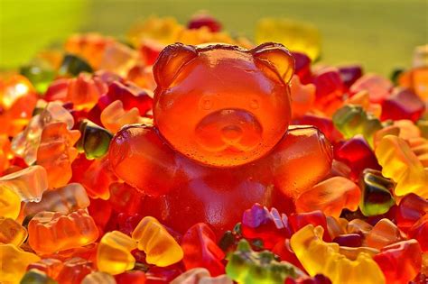 Gold Bear Gummi Bears Bear Yellow Gummi Bear Sweetness Colorful