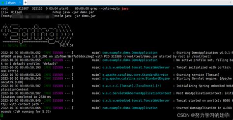 Java如何实现服务器上运行的应用jar包实时更新 Jar包部署到服务器mob64ca13ed93fa的技术博客51cto博客 Java如何实现服务器上运行的应用jar包实时更新 Jar包部署到服务器mob64ca13ed93fa的技术博客51cto博客