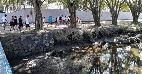 Dia Mundial De Limpeza De Rios E Praias Dmlrp