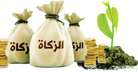 مع إقتراب رمضان فيديو تعرف على الفرق بين الزكاة والصدقة البوابة 24