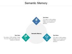 Semantic Memory Ppt Powerpoint Presentation Portfolio Design Ideas Cpb Presentation Graphics