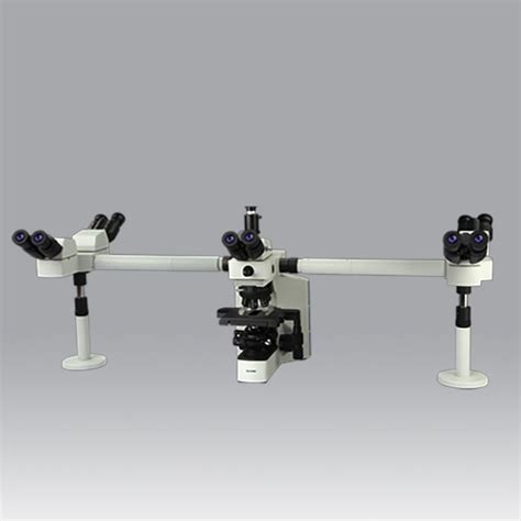 Optima Pentex Five Head Trinocular Teaching Microscope At Rs 435000 In