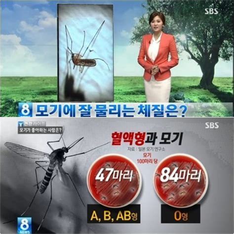 모기 잘 물리는 혈액형 네이트 판