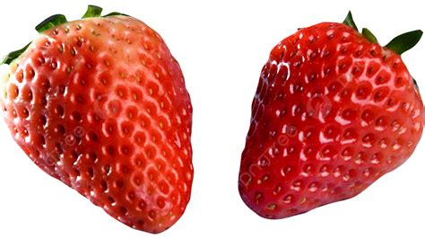 Strawberry Red Realistic Whole Strawberry Vector Strawberry Realistic