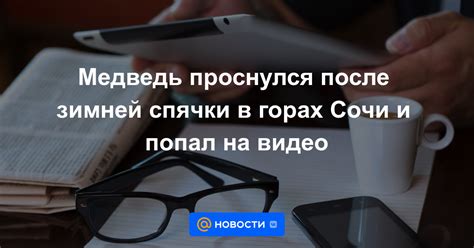 Медведь проснулся после зимней спячки в горах Сочи и попал на видео
