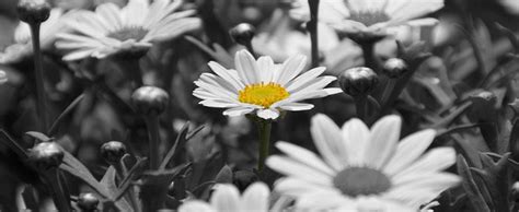 Life in Colour - UCKG HelpCentre
