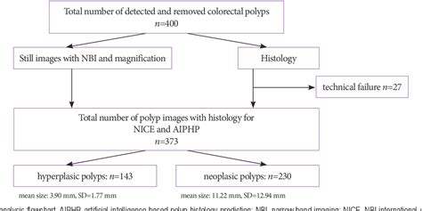 Figure 1 From Artificial Intelligence Based Colorectal Polyp Histology Prediction By Using