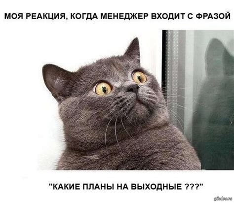 С наступающими Пикабу