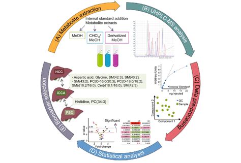 Metabolic Profiling Workflow A Metabolite Extraction Was Download Scientific Diagram